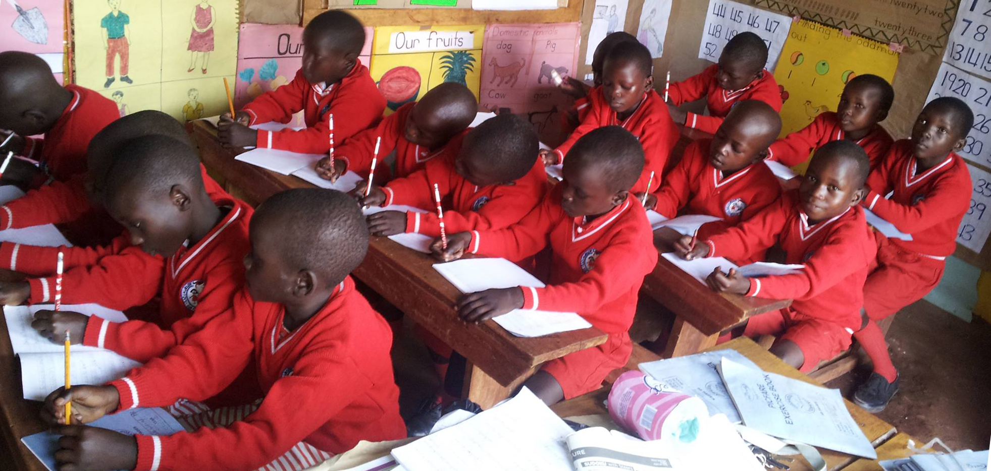 Institutions Critical to Mission Success – save african child uganda